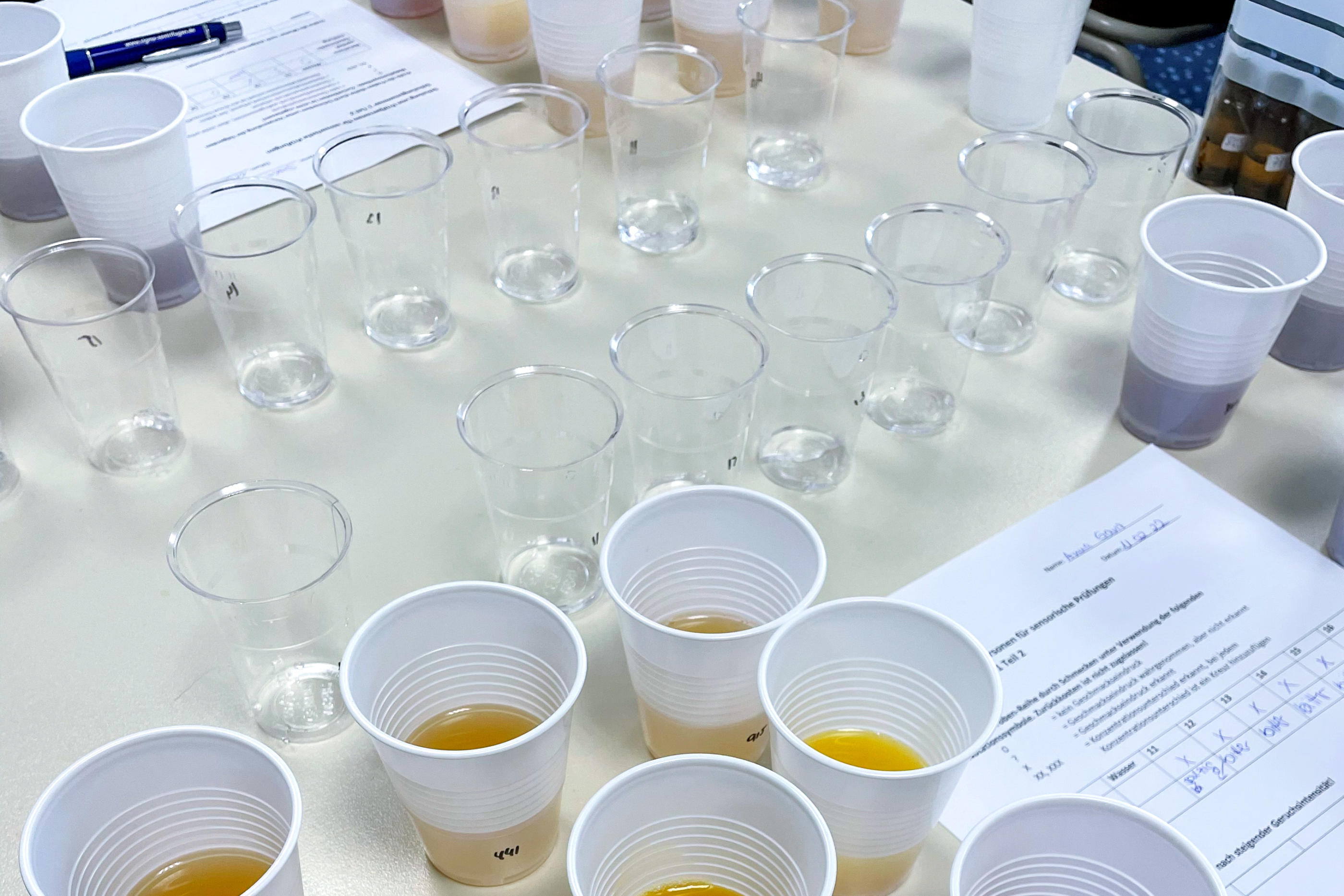 Management Consultancy - Chelab